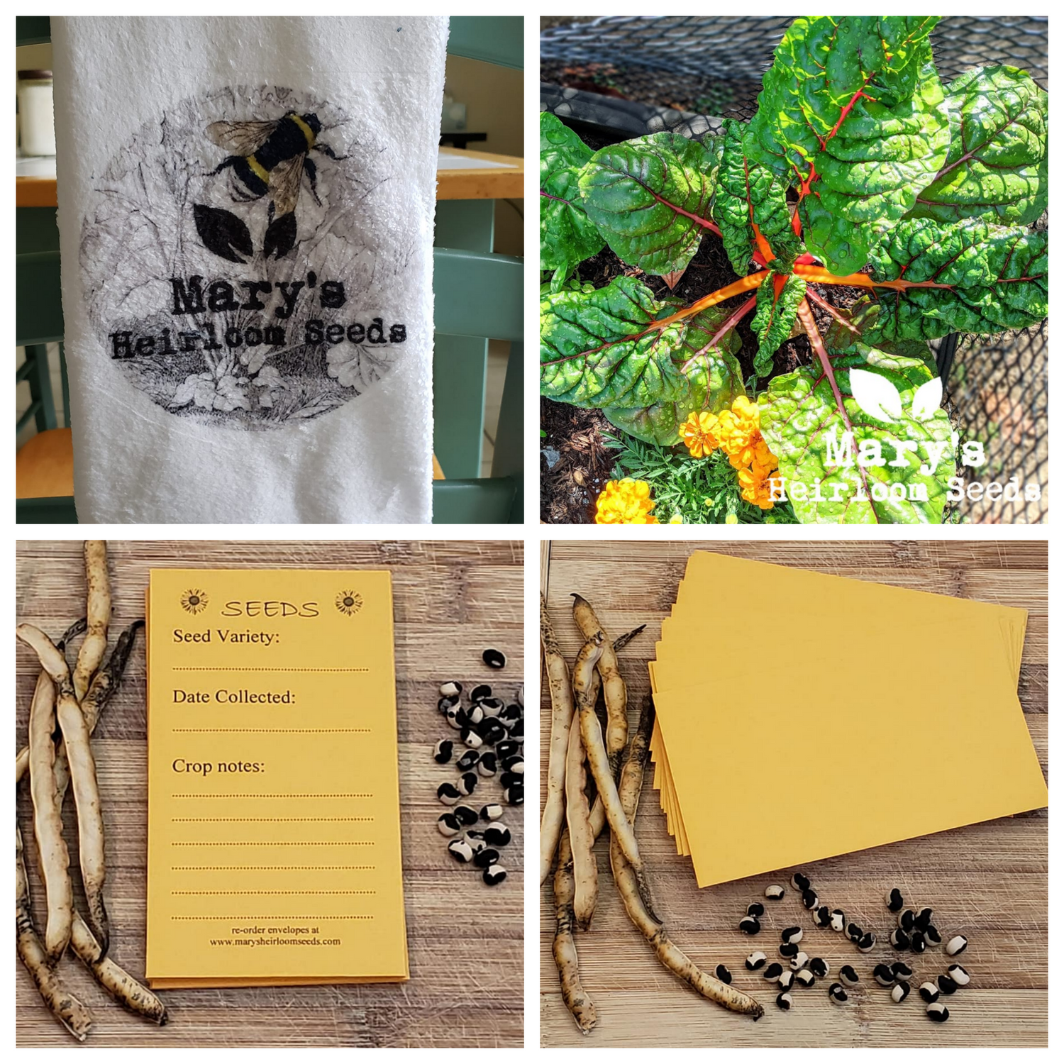 FALL SEED GIVEAWAY – Mary's Heirloom Seeds