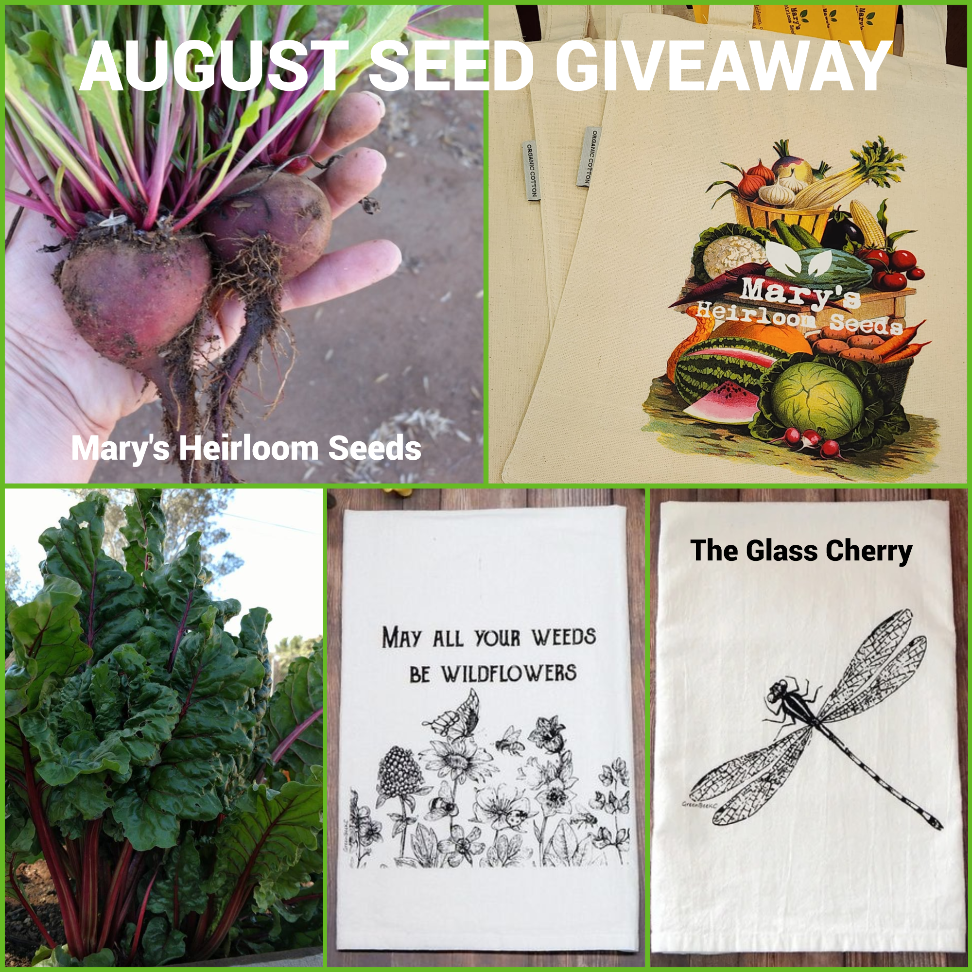 Prep For Fall August Seed Giveaway – Mary's Heirloom Seeds