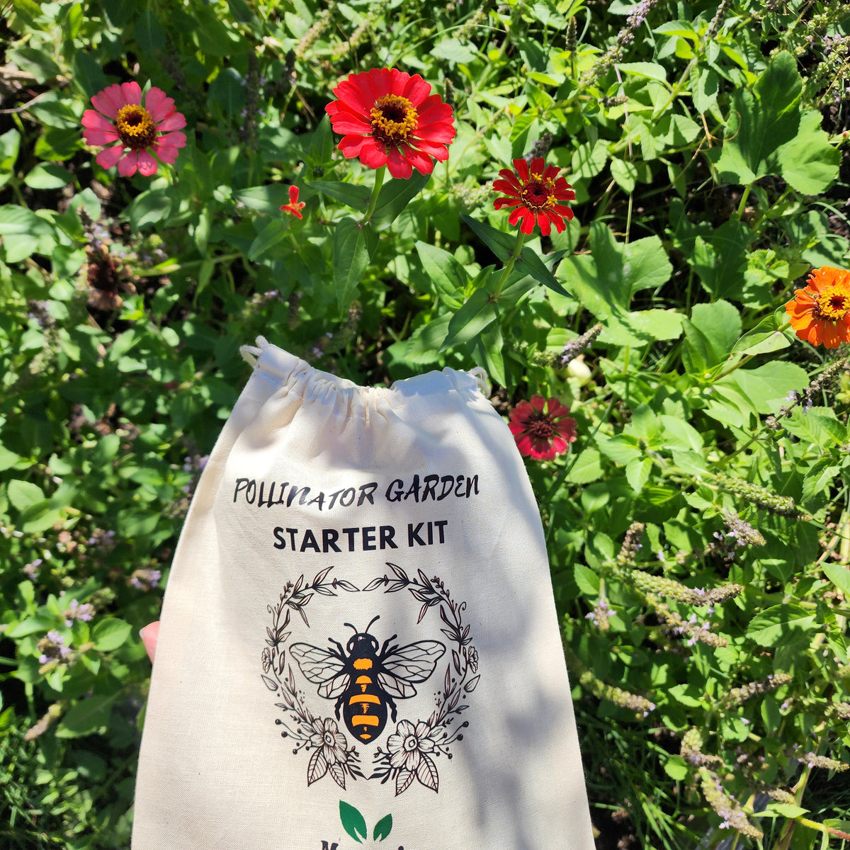 Pollinator Garden Starter Kit – Mary's Heirloom Seeds