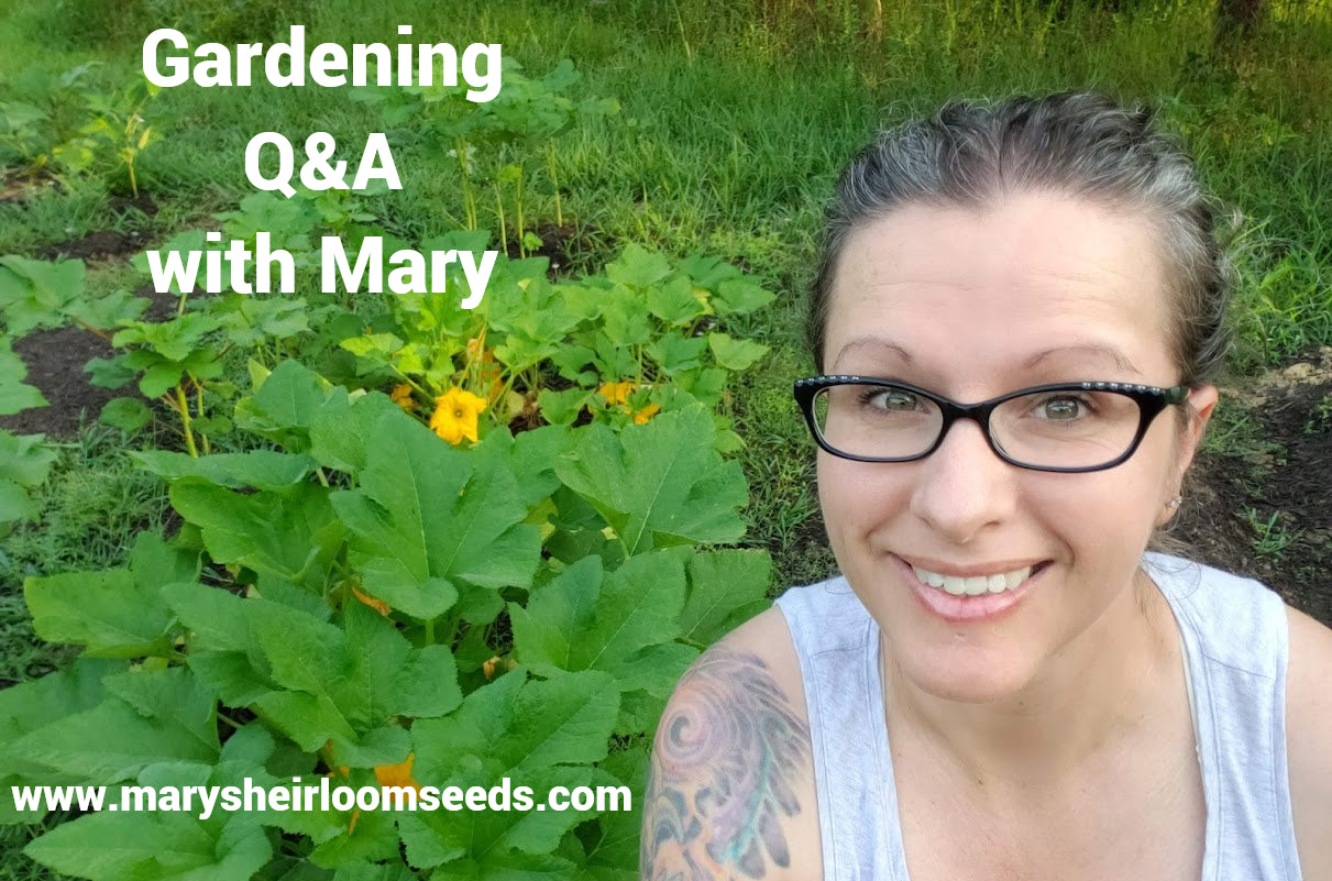 Mary's Heirloom Seeds