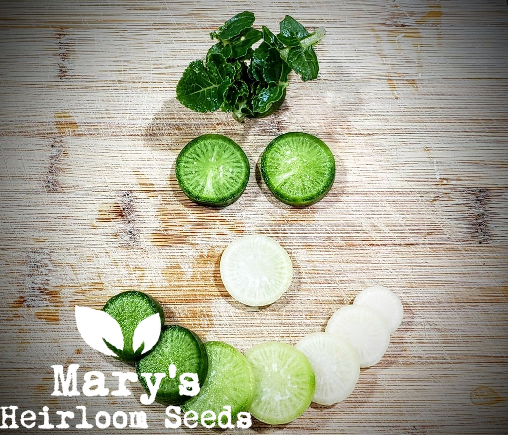 Color-Themed Seed Combo: GREEN – Mary's Heirloom Seeds
