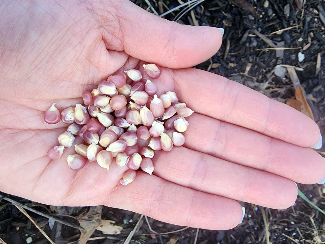 Mary's Heirloom Seeds