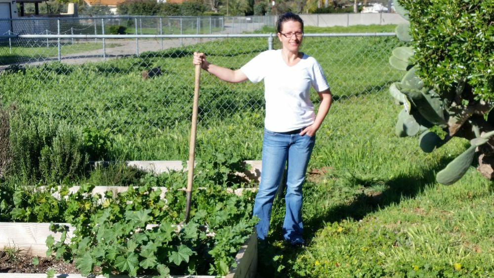 Seed Pack Combos – Mary's Heirloom Seeds