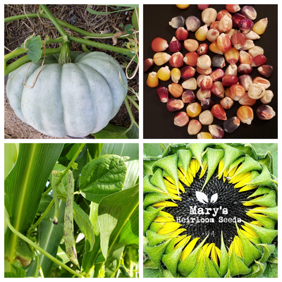 Seed Pack Combos – Mary's Heirloom Seeds