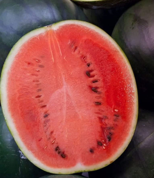 Black Diamond Watermelon – Mary's Heirloom Seeds