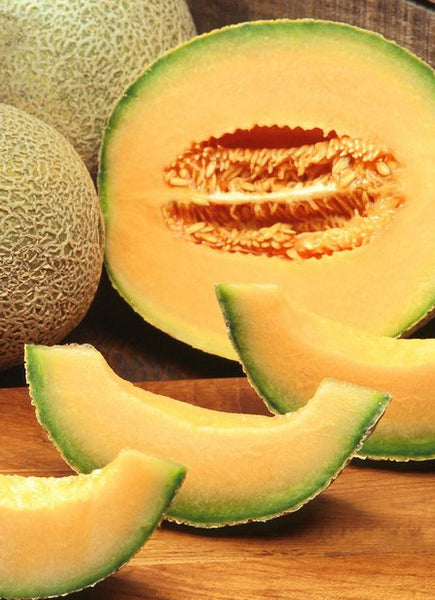 Hale's Best Jumbo Melon – Mary's Heirloom Seeds