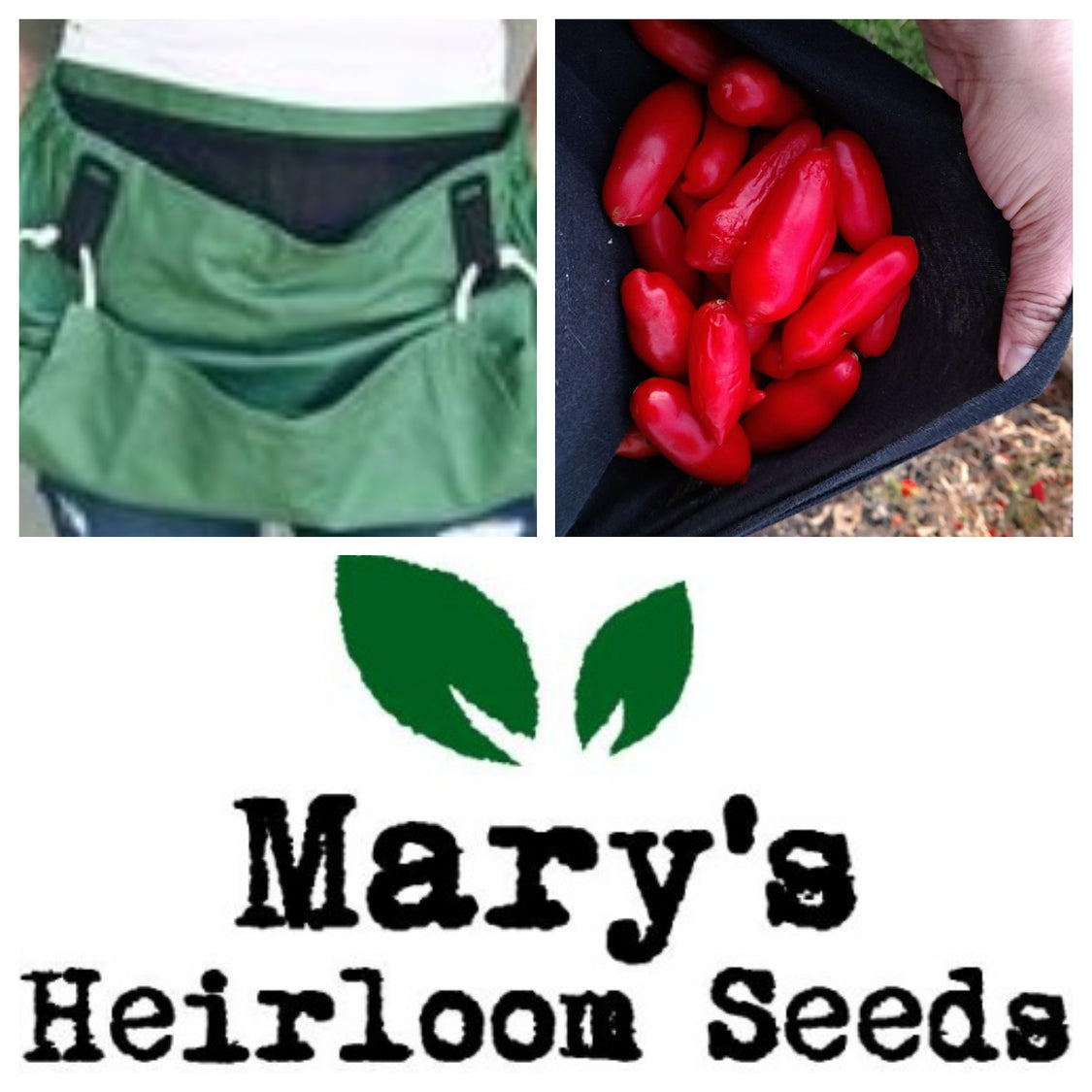 Joey Apron – Mary's Heirloom Seeds