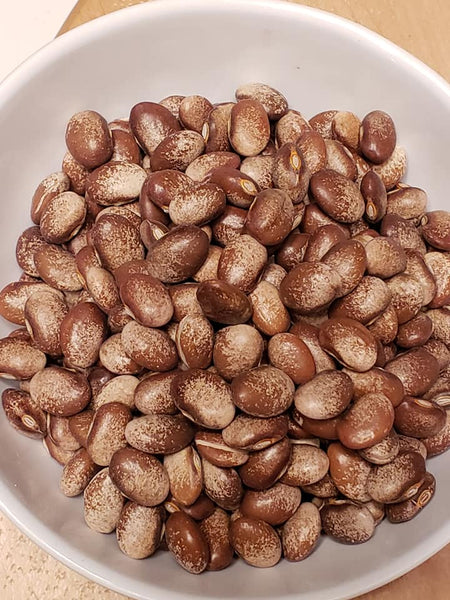 Turkey Craw Bean – Mary's Heirloom Seeds