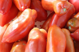 Federle Tomato – Mary's Heirloom Seeds