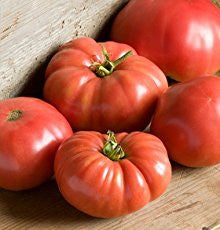 German Johnson Tomato – Mary's Heirloom Seeds