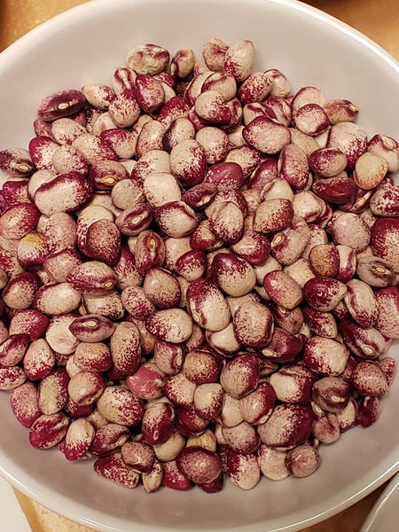 Mayflower Bean – Mary's Heirloom Seeds