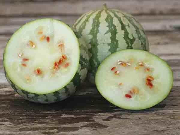 Watermelon Seeds – Mary's Heirloom Seeds
