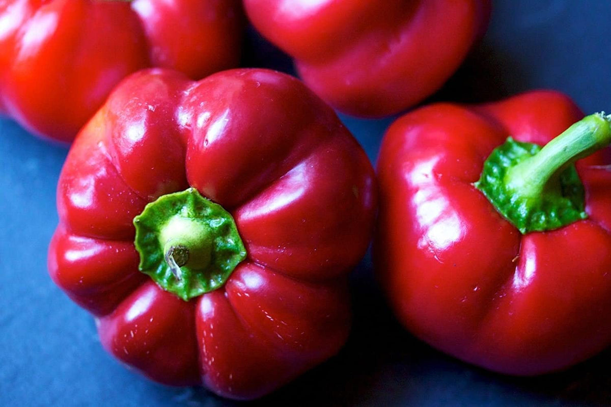 Sheepnose Pimento Pepper – Mary's Heirloom Seeds